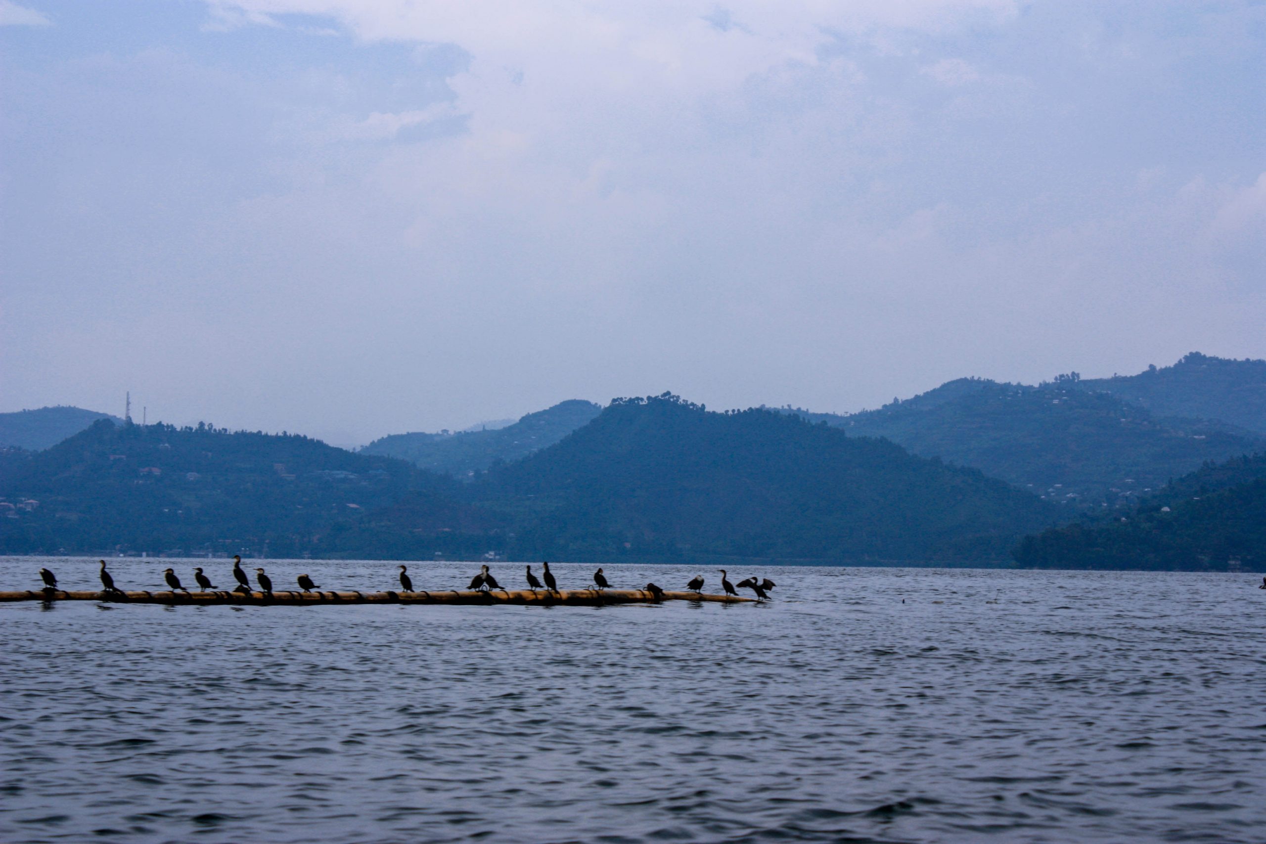 RDC : le gaz du lac Kivu, une chance énergétique pour le pays ...